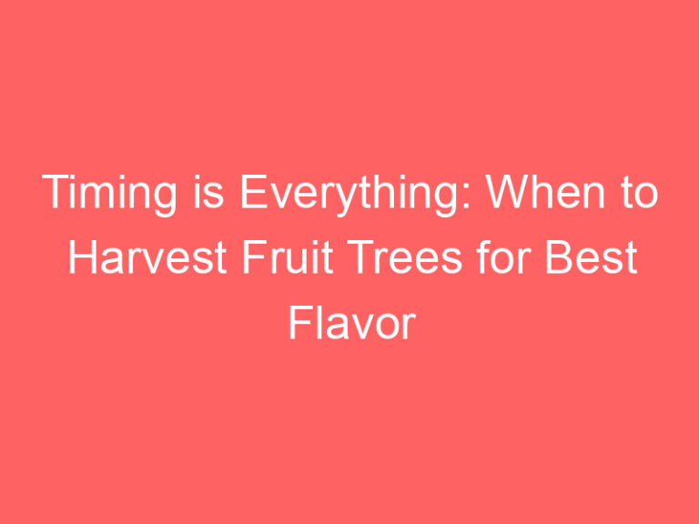 Timing is Everything: When to Harvest Fruit Trees for Best Flavor ...