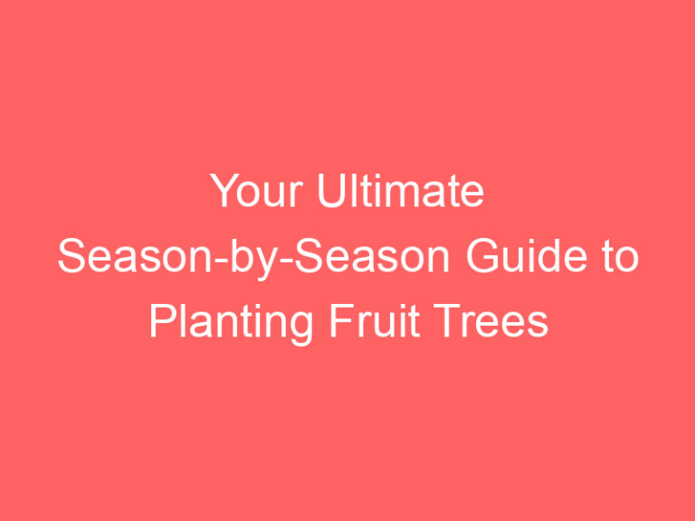 Your Ultimate Season-by-Season Guide to Planting Fruit Trees ...